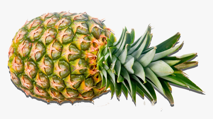 Pineapple Transparent