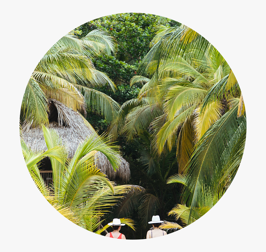 Cr2 - Plate, HD Png Download , Transparent Png Image - PNGitem