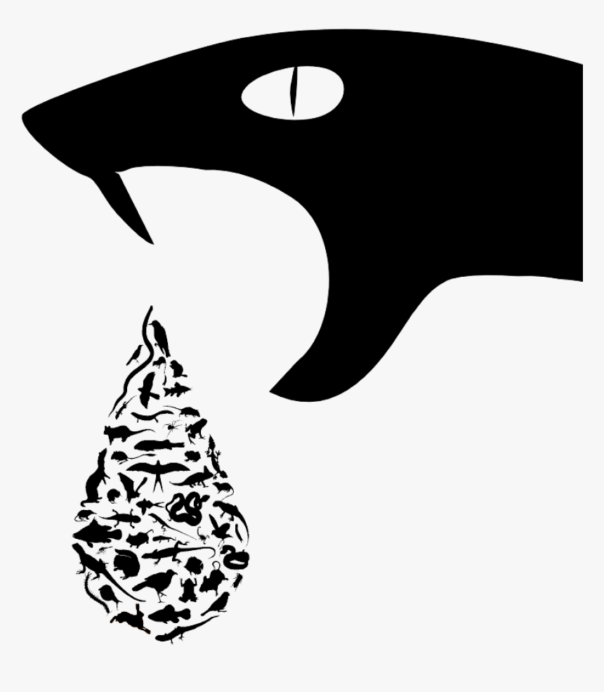 Ecology And Evolution , Png Download - Illustration, Transparent Png ...