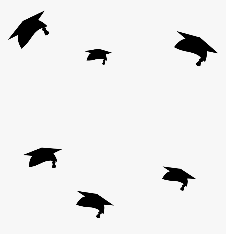 Crow Like Bird - Flying Graduation Hat Png, Transparent Png ...