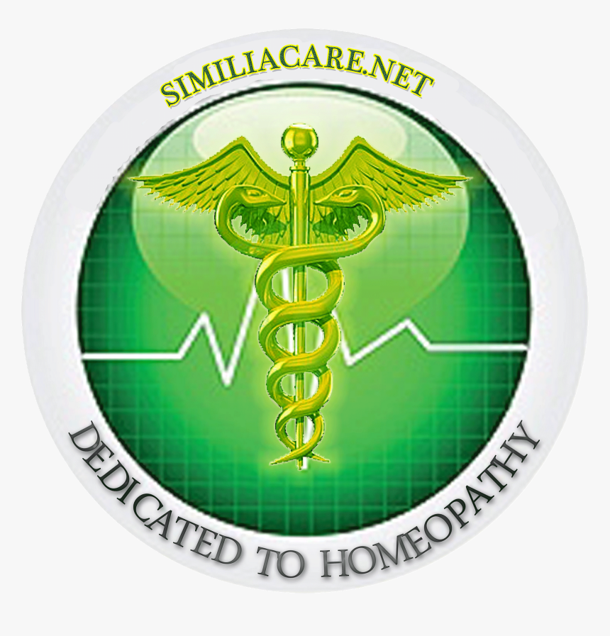 Virgin Islands National Bird, HD Png Download , Transparent Png Image ...