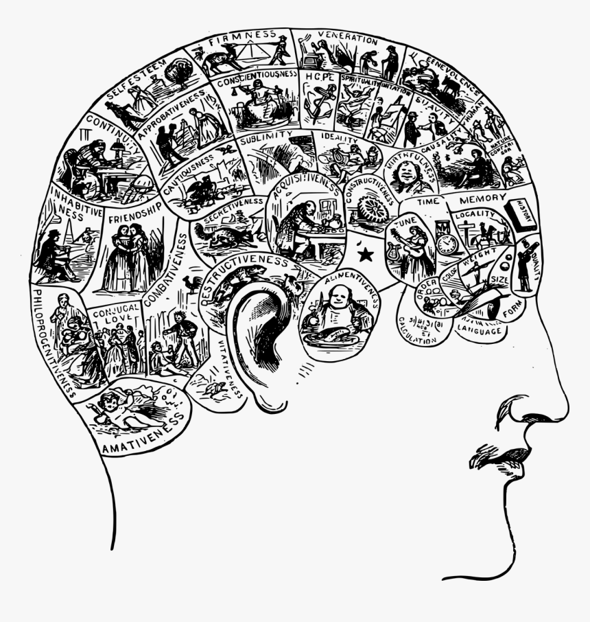 Brain Face Functions Head Human Png Image - Brain Narrative ...