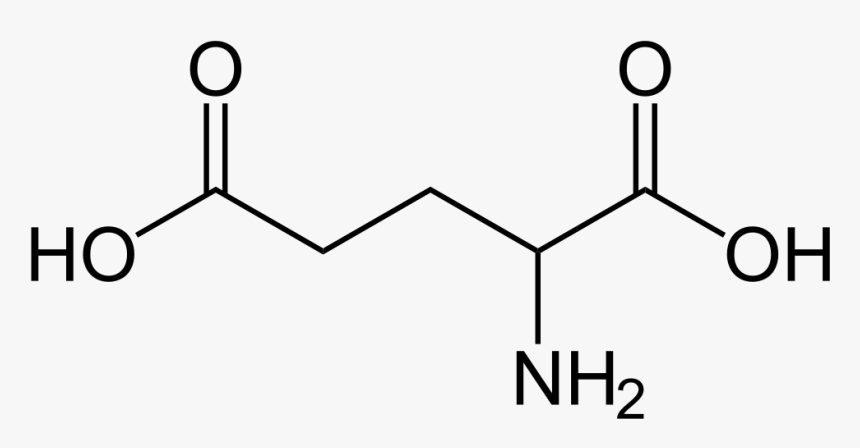 Glutamate Structure
