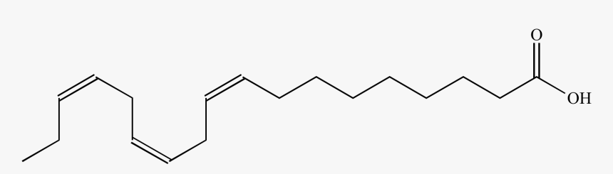 Src Fatty Acid08 - Polyunsaturated Fatty Acids Png, Transparent Png ...