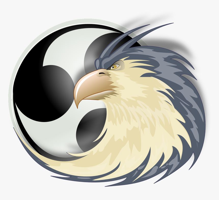 Transparent Raptor Clipart - Garras De Aguila Png, Png Download ...