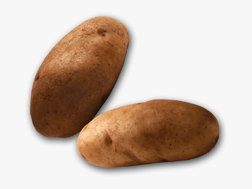 Single Potato Hd Image Png, Transparent Png , Transparent Png Image ...