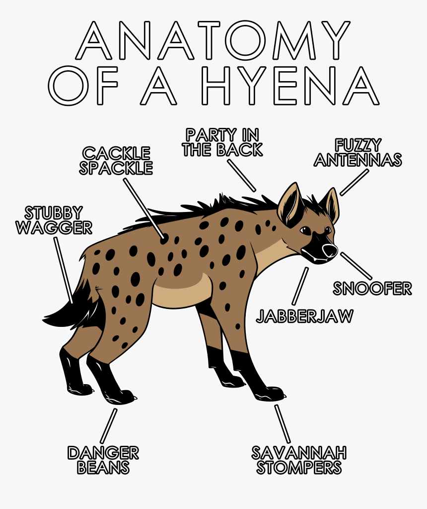 Anatomy Of A Hyena, HD Png Download , Transparent Png Image - PNGitem