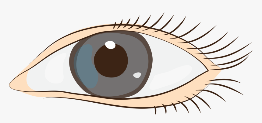 Eyesight Clipart