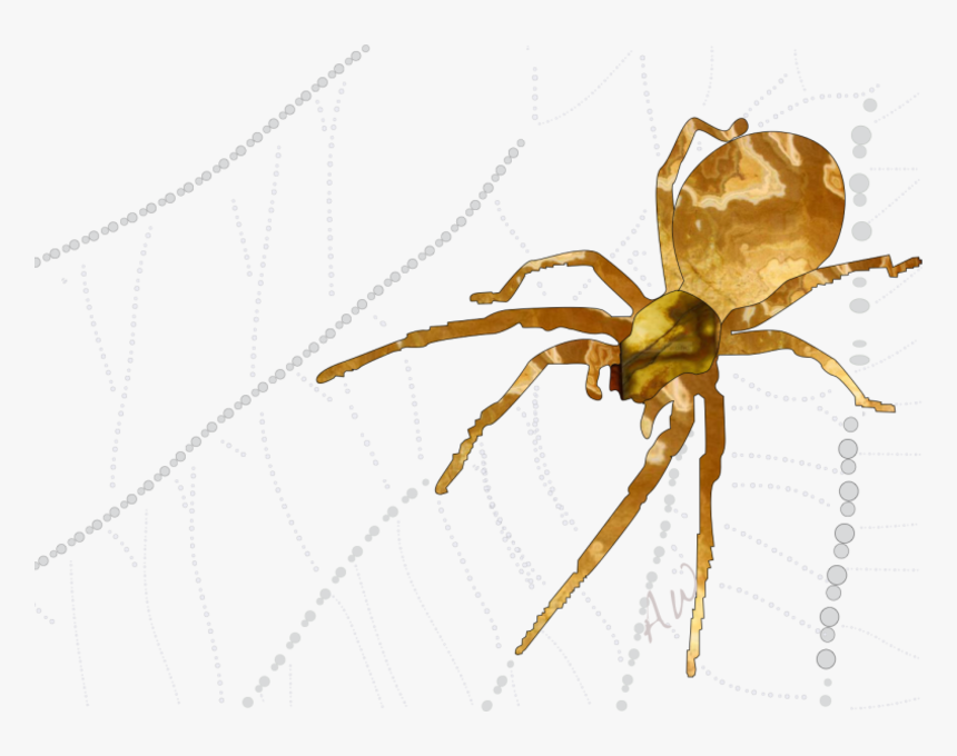 Spider-2 - Spider Web, HD Png Download , Transparent Png Image - PNGitem