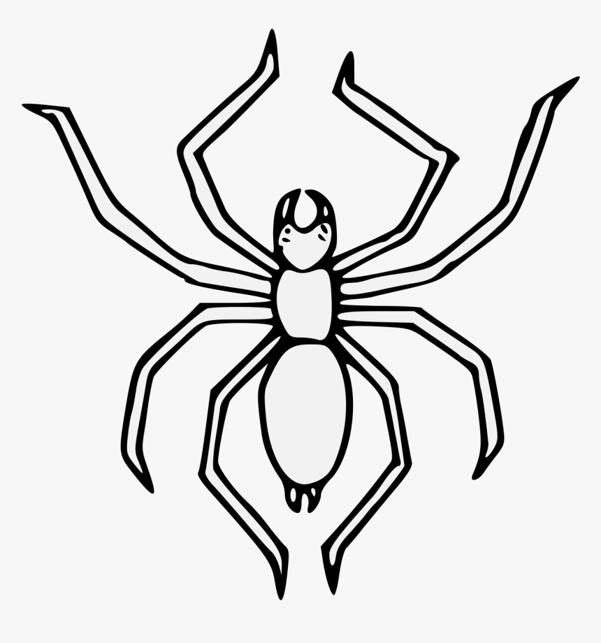 Spider Heraldry, HD Png Download , Transparent Png Image - PNGitem