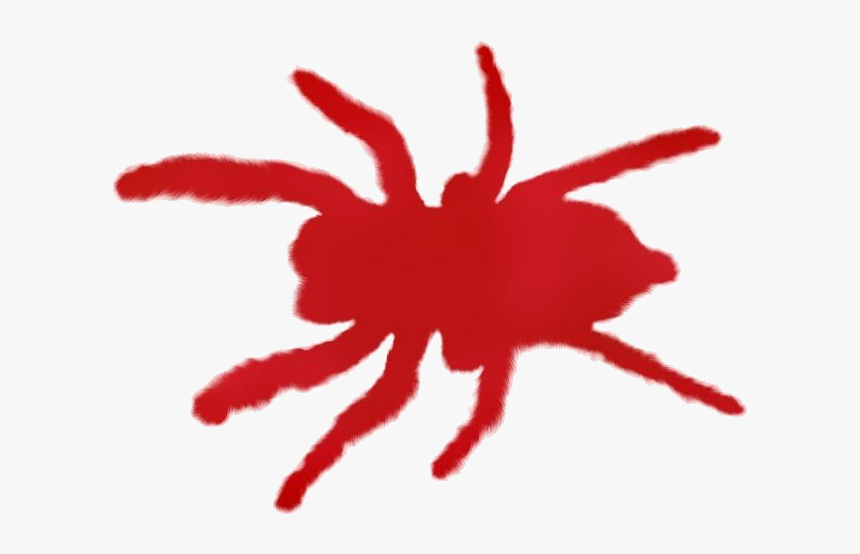 Colorful Scary Spiders Png Clipart - Illustration, Transparent Png ...