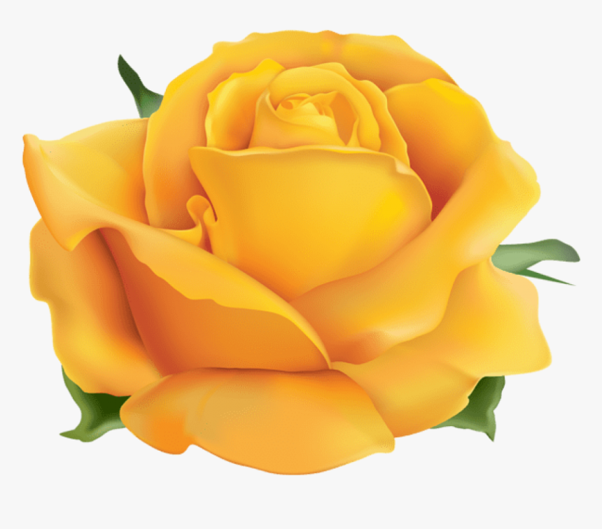 Yellow Rose Flower Png