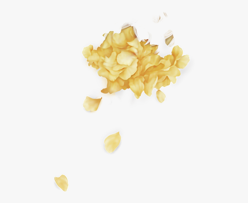 Troye Sivan Flower Crown