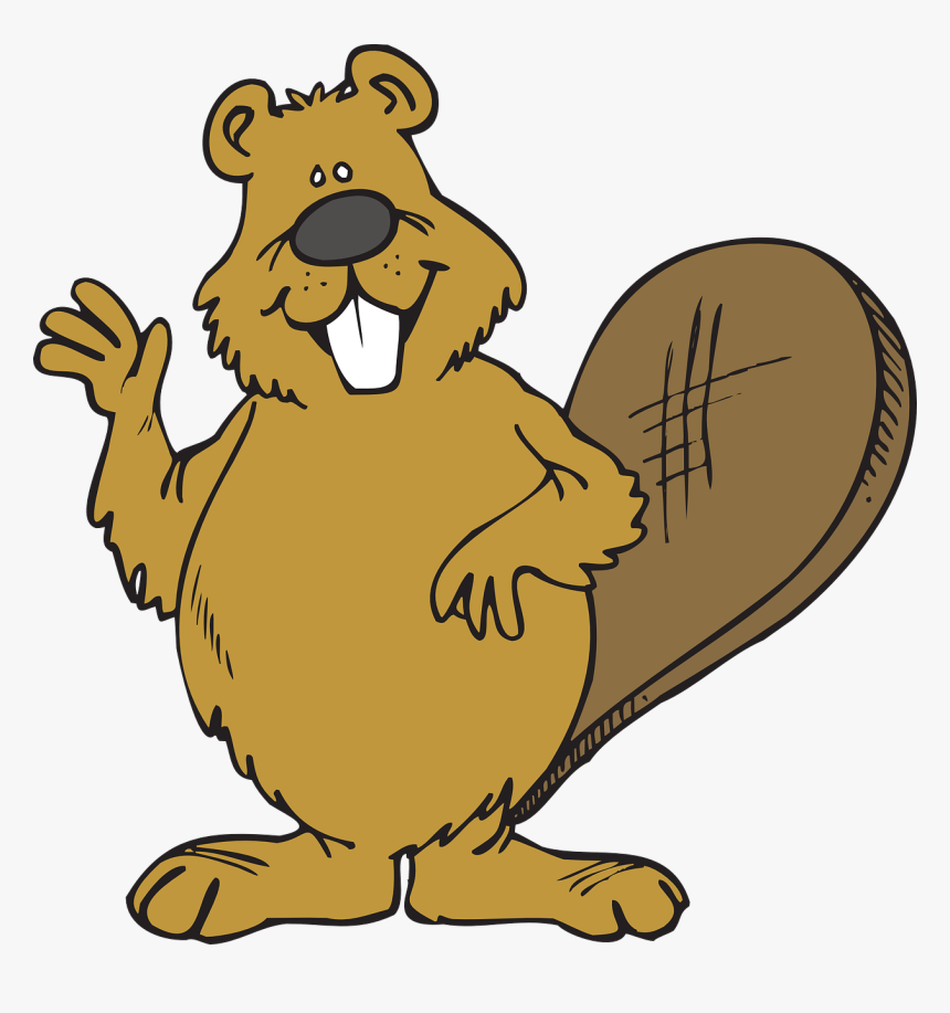 Download And Use Beaver Png Image - Clipart Beaver, Transparent Png ...