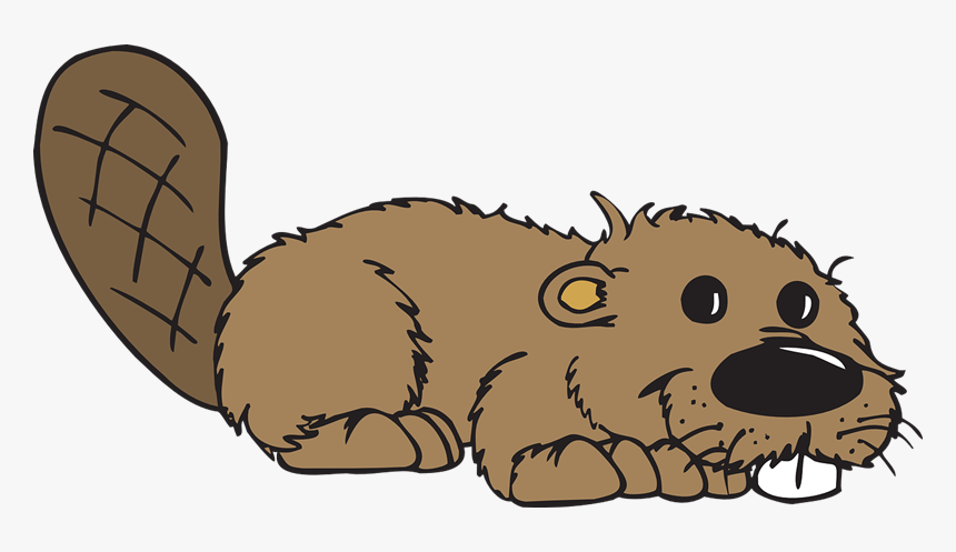 Beaver Life Png - Beaver Clipart Transparent Background, Png Download ...