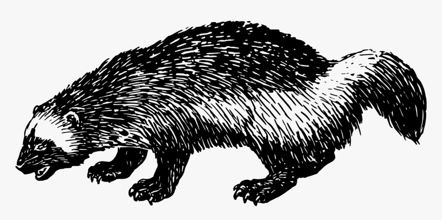 Muskrat Drawing Groundhog - Icon, HD Png Download , Transparent Png ...