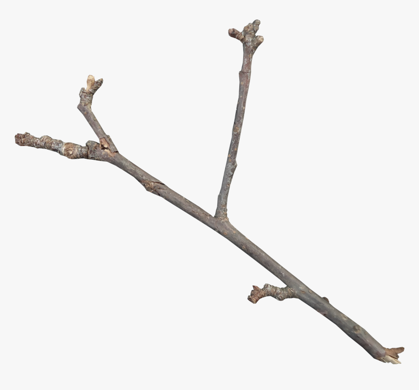 Twig Download Icon - Twig Png, Transparent Png , Transparent Png Image ...