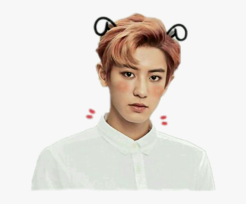 #chanyeol #exo #cute - Sticker Chanyeol, HD Png Download , Transparent ...
