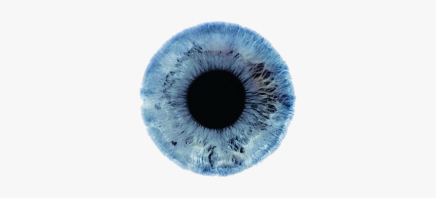 Eye Color Png - Blue Eyes Texture, Transparent Png , Transparent Png Image - PNGitem