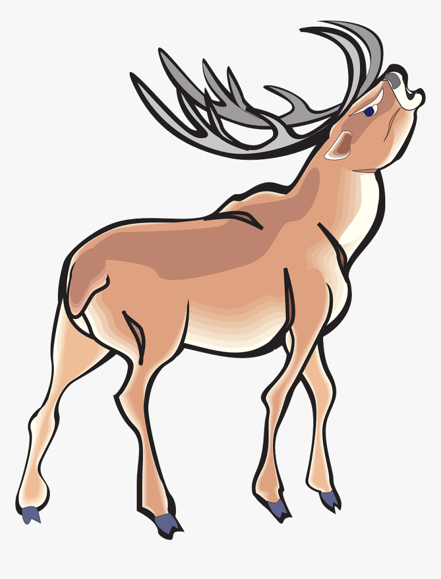 Angry, Deer, Wild, Animal, Antlers - Angry Deer Cartoon, HD Png ...