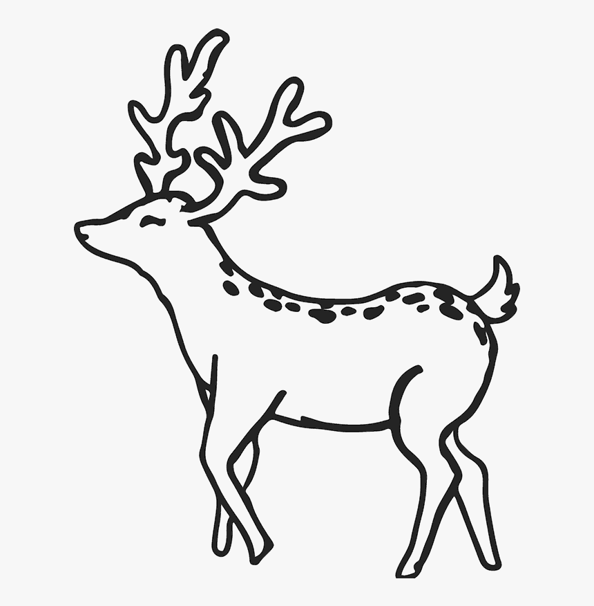 Deer Outline Images Clipart