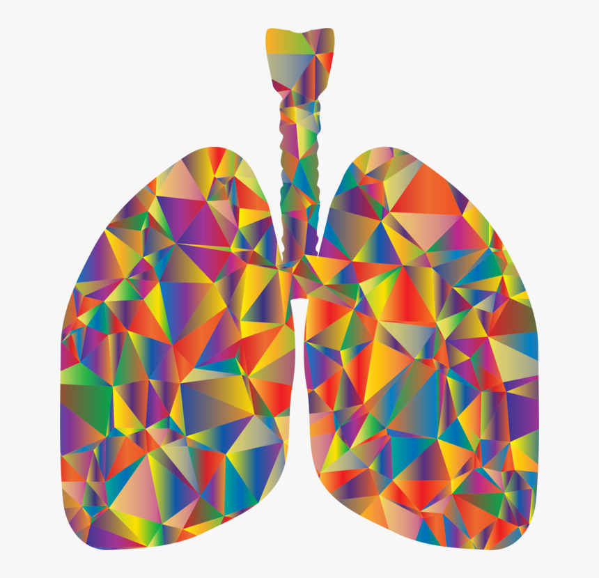 System - Respiratory System In Art, HD Png Download , Transparent Png ...