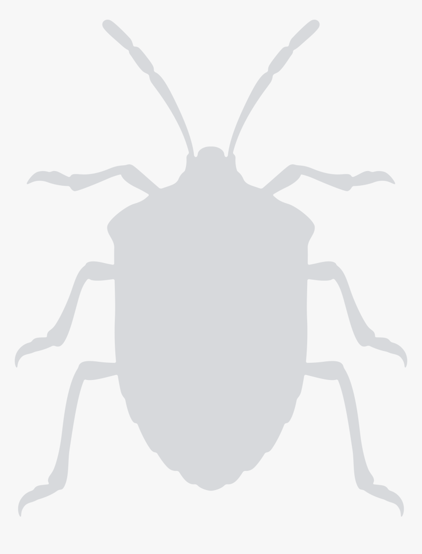 Stink Bug Clip Arts - Stinkbug Clip Art, HD Png Download , Transparent ...