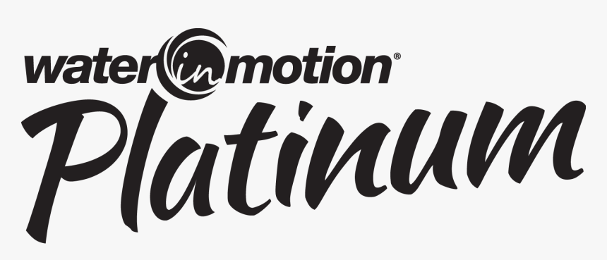 Platinum Logo, HD Png Download , Transparent Png Image - PNGitem
