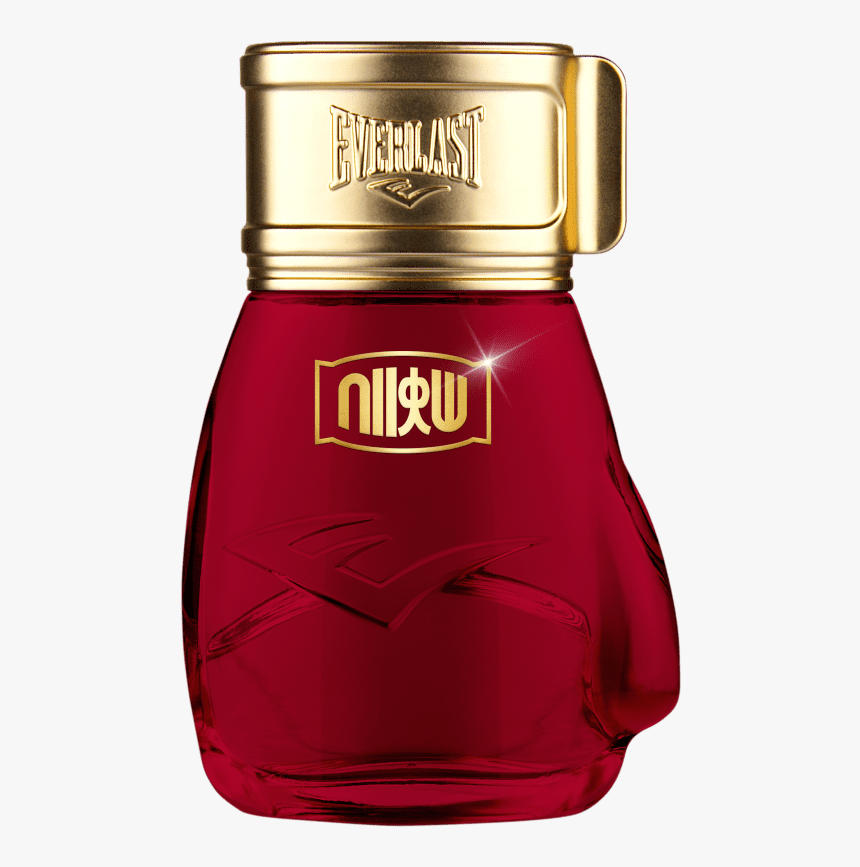 Transparent Hadouken Png - Choice Of Champions Street Fighter Hadouken ...