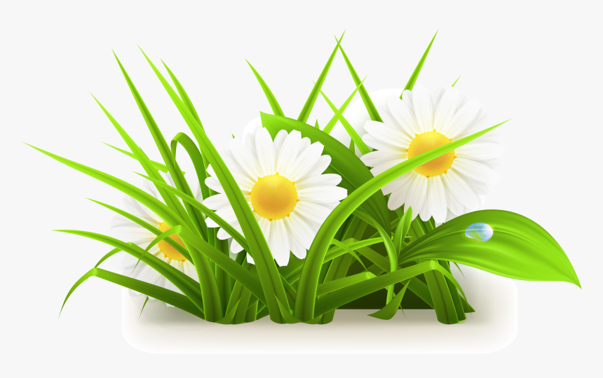 Daisy Clipart Grass - Grass Flowers Vector Png, Transparent Png ...