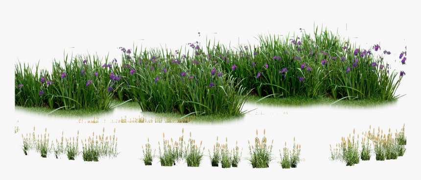 Landscape Flowers Png - Plants And Flowers In Png, Transparent Png ...