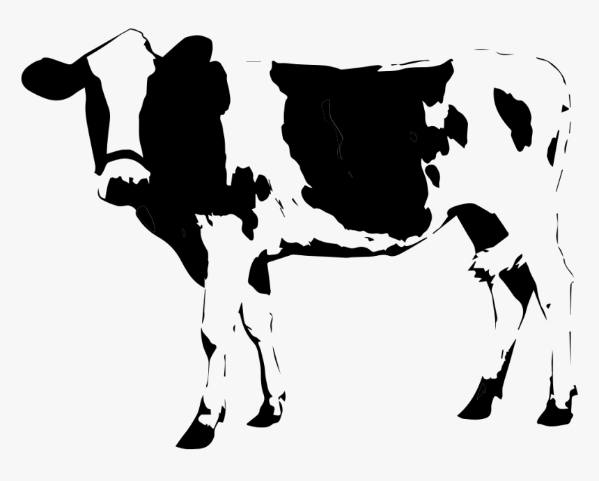 Transparent Cow Icon Png - Cow On White Background, Png Download ...