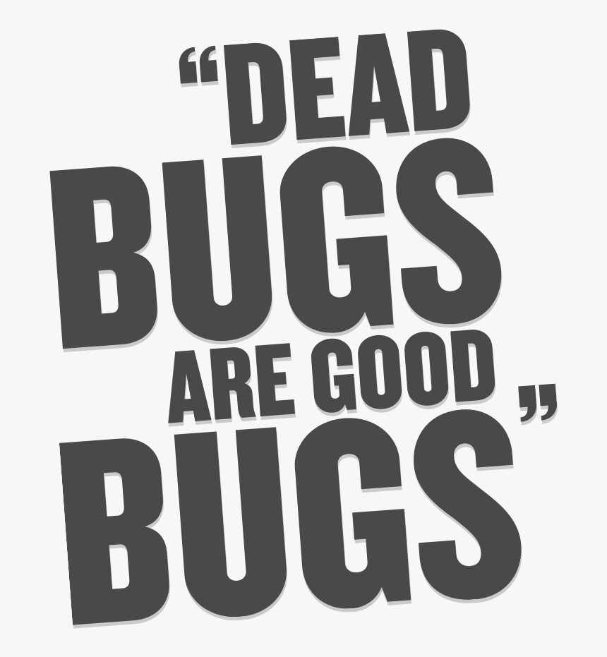 Dead Bugs Text - Illustration, HD Png Download , Transparent Png Image ...