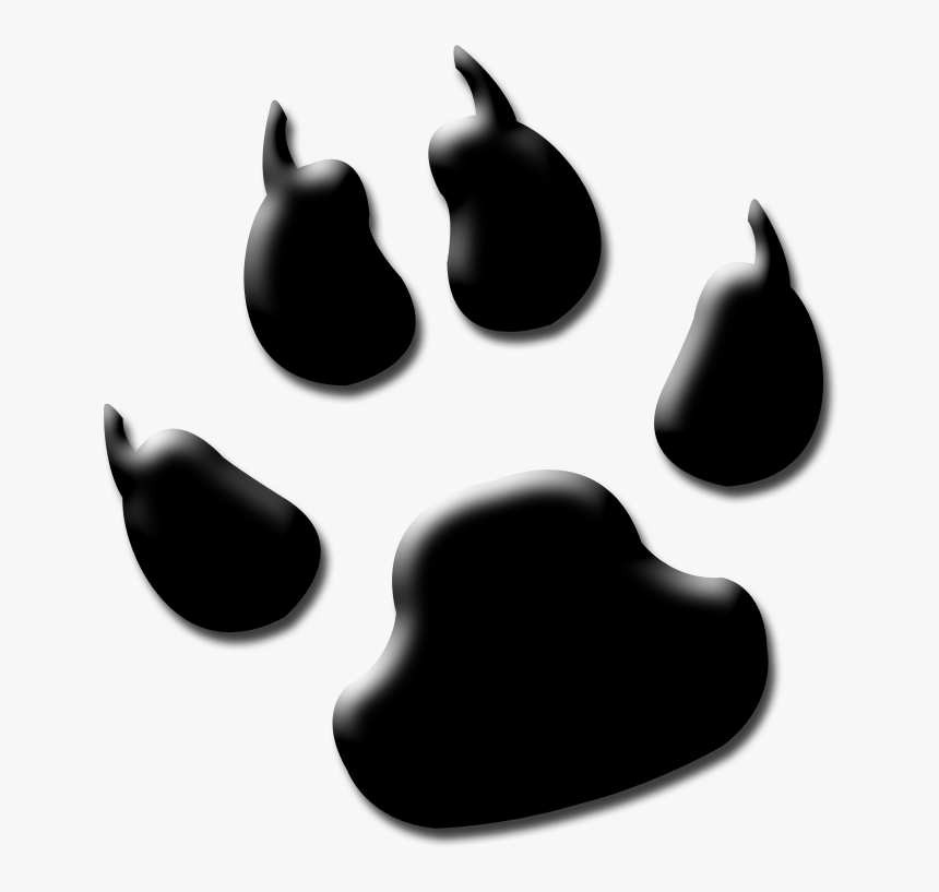 Lion Claws Clipart