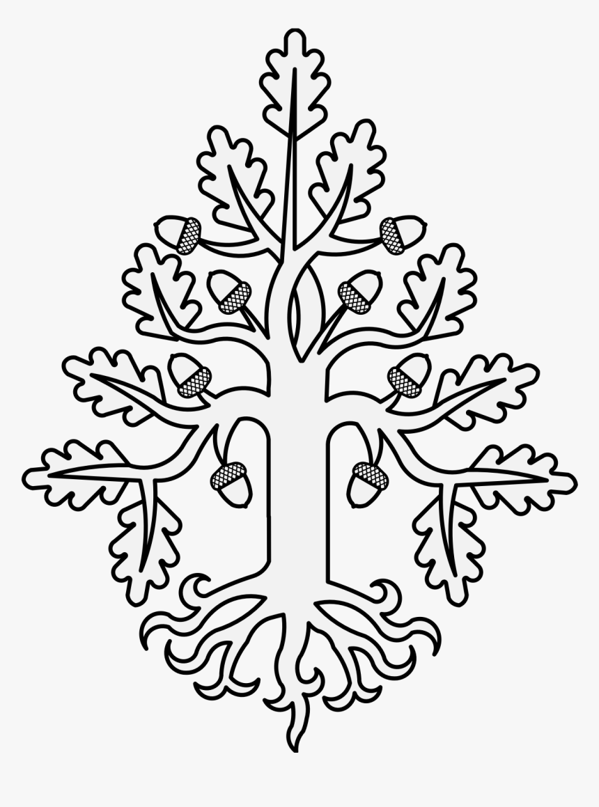 Acorn Drawing Oak Leaf - Oak Heraldry, HD Png Download , Transparent ...