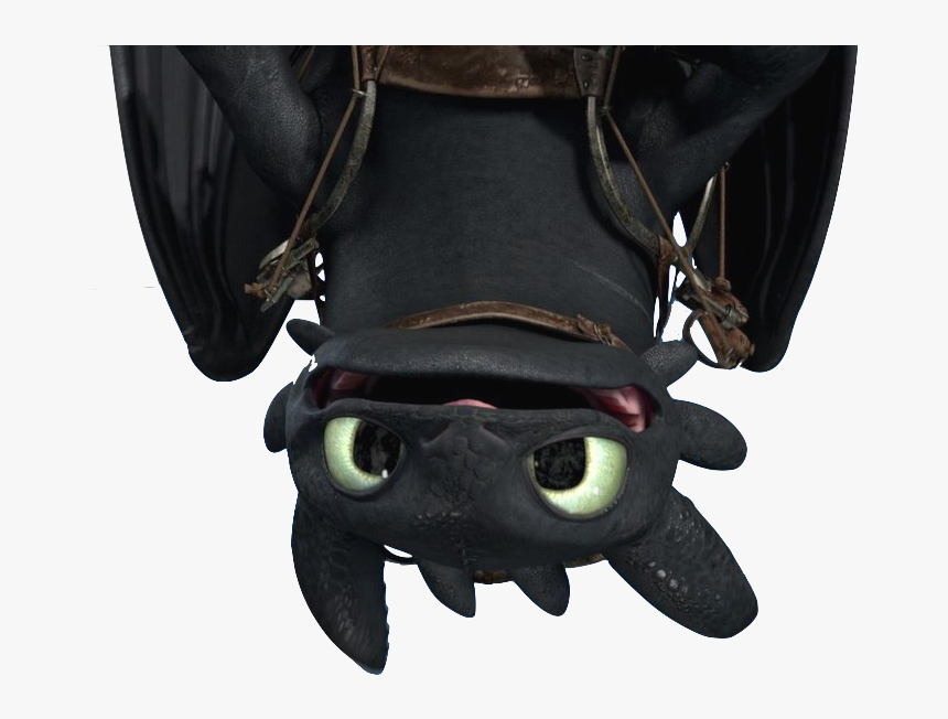 Tumblr Static - Transparent Toothless Png, Png Download , Transparent ...