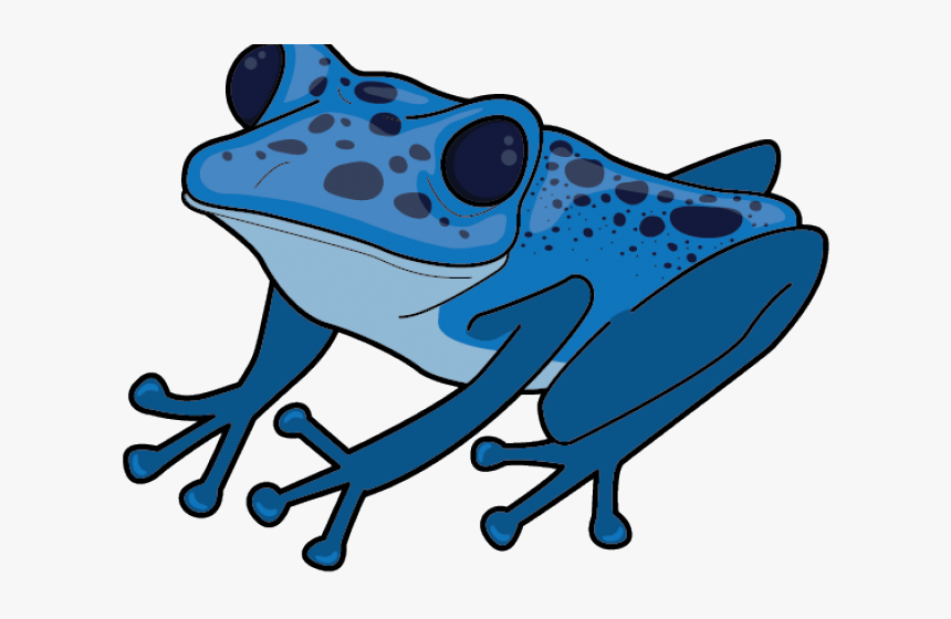 Transparent Blue Frog Png - Poison Dart Frog Clipart, Png Download ...