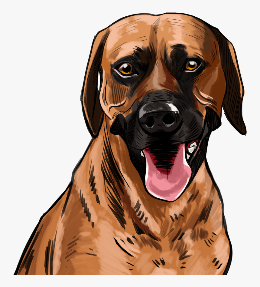 Sunny - Dog Yawns, HD Png Download , Transparent Png Image - PNGitem