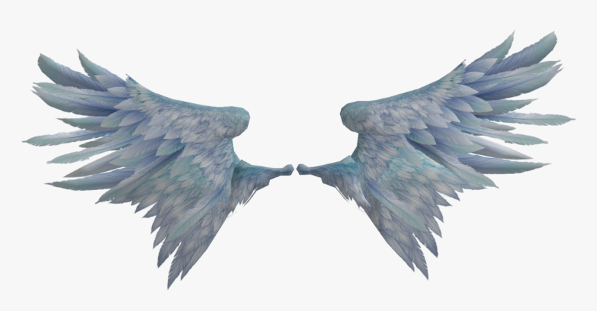 Transparent Wings Realistic, HD Png Download , Transparent Png Image ...