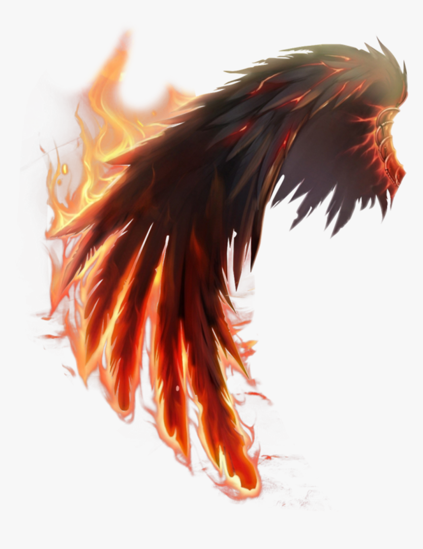 Fire Wings Png - Fire Wing Png Transparent, Png Download , Transparent ...