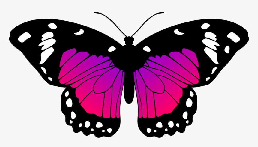 Pink And Purple Butterflies Clipart
