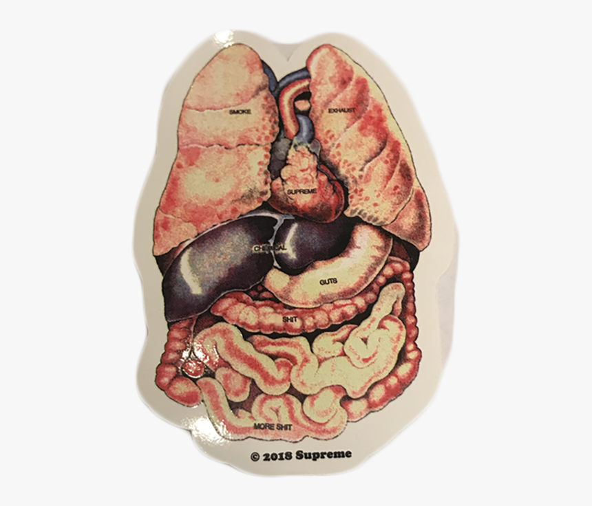 Supreme Guts Sticker, HD Png Download , Transparent Png Image - PNGitem