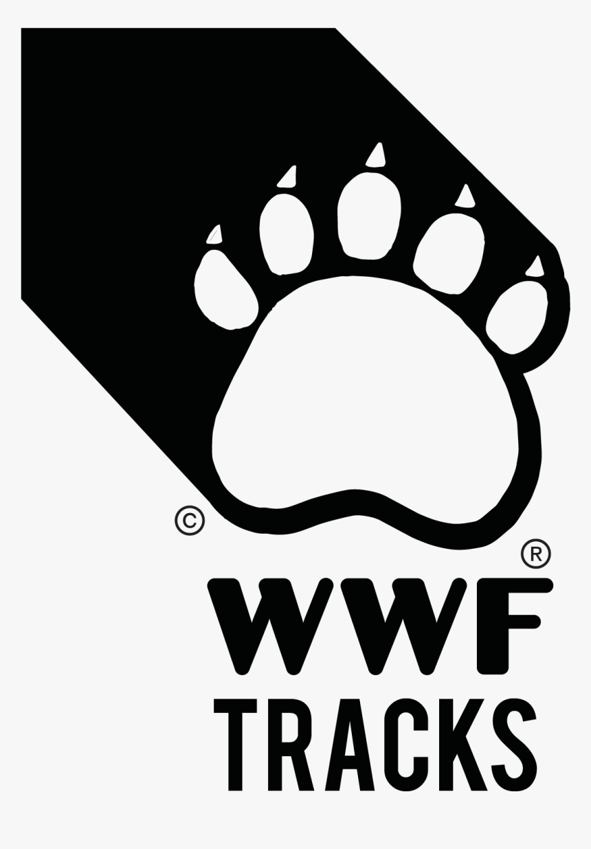 Wwf Logo-24 - World Wide Fund For Nature, HD Png Download , Transparent ...