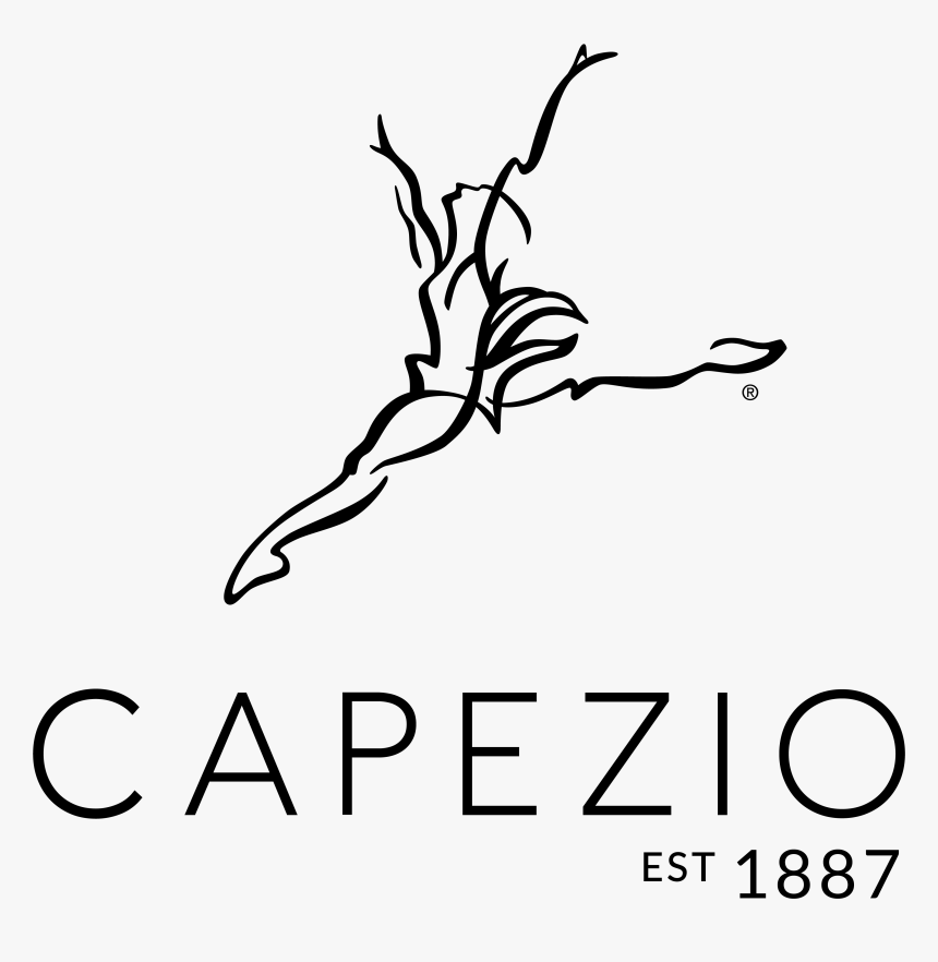 American Ballet Theatre - Capezio Logo, HD Png Download , Transparent ...