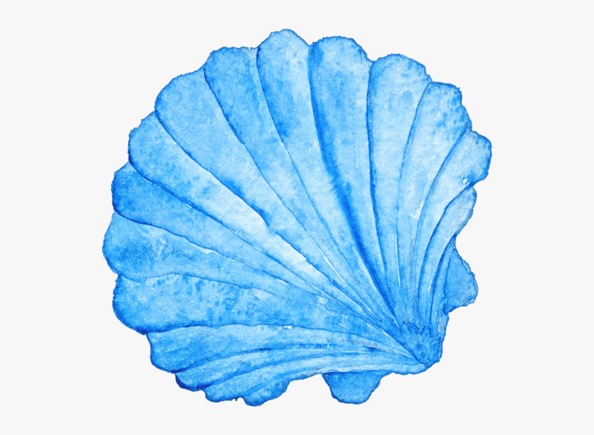 Seashell Watercolor Png, Transparent Png , Transparent Png Image - PNGitem