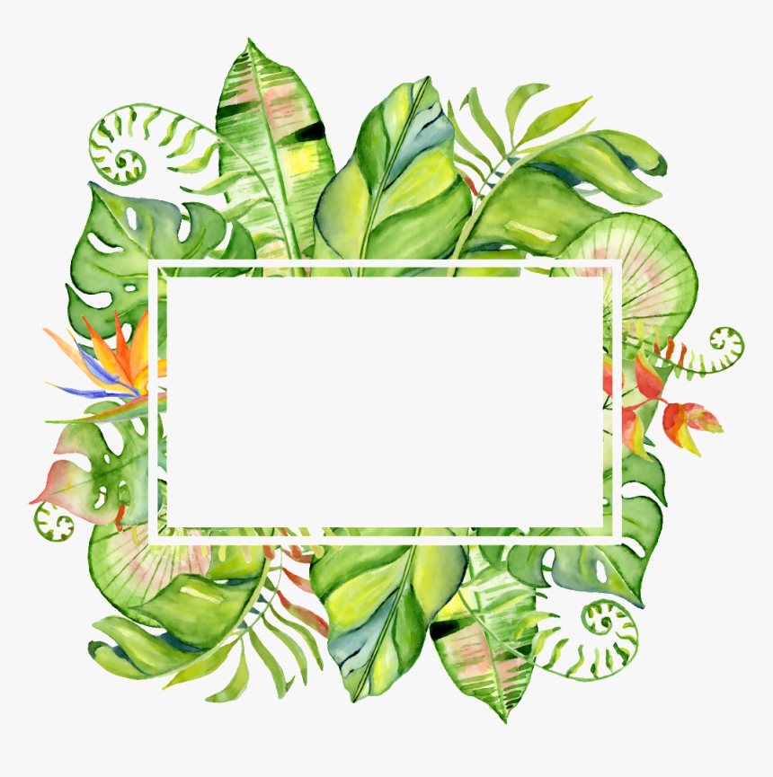 Tropical Border Png
