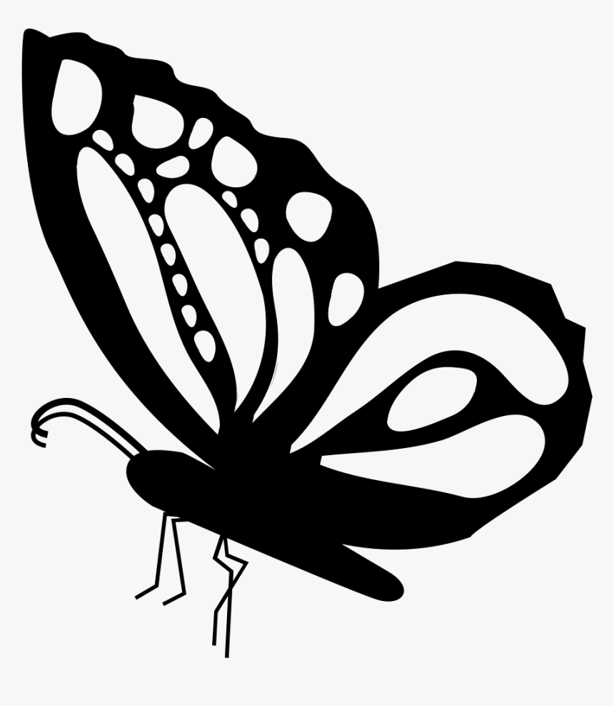 Butterfly Beautiful Side View Shape With Ornamental - Drawing Of Side ...