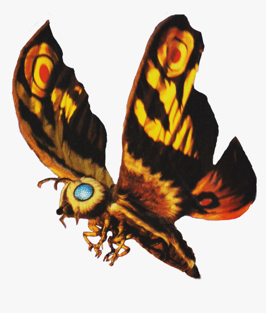 Mothra Tokyo Sos, HD Png Download , Transparent Png Image - PNGitem