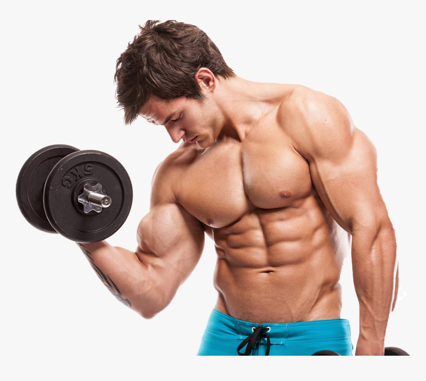 Bodybuilding Png Image Download - Do Muscles Grow, Transparent Png ...