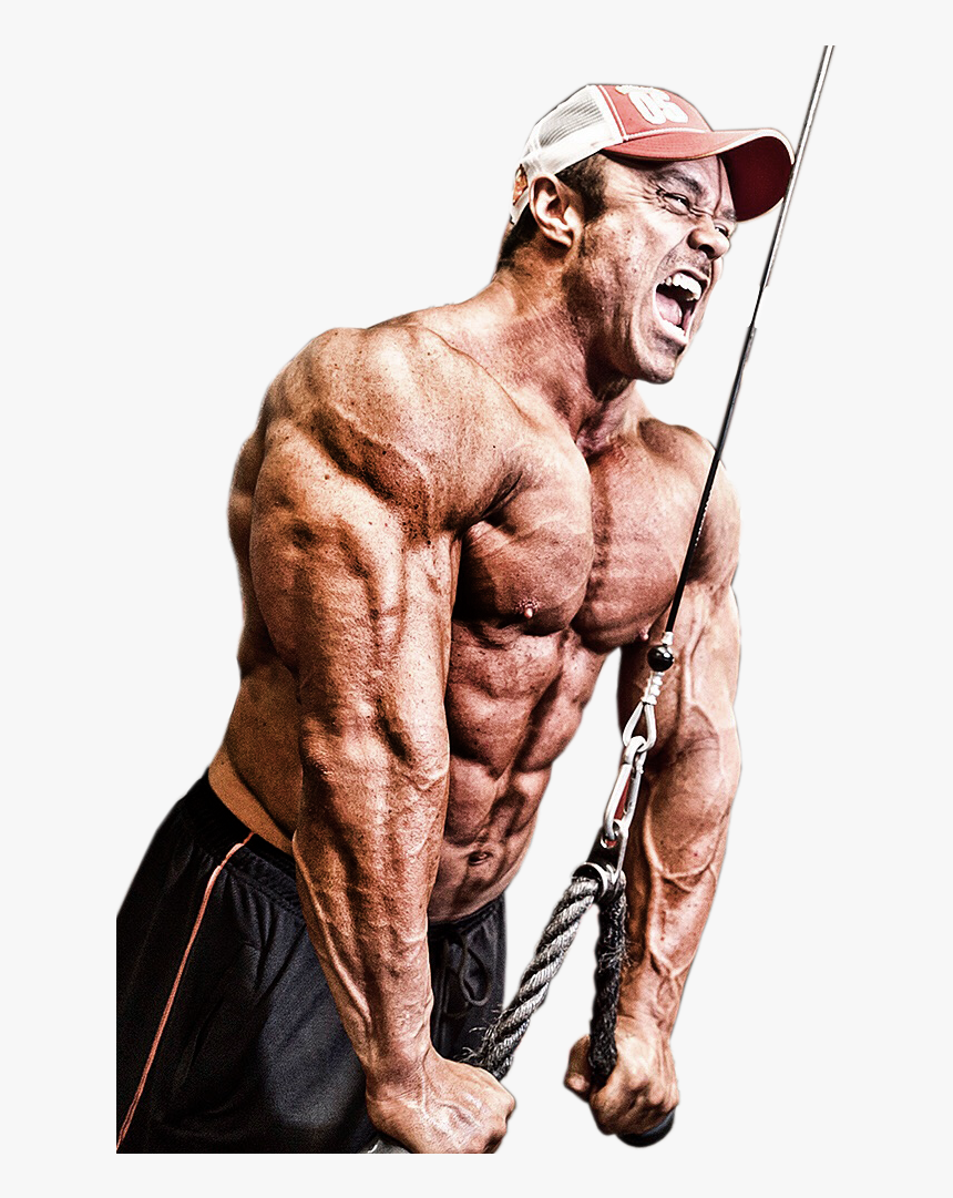 Bodybuilder Png, Transparent Png , Transparent Png Image - PNGitem